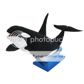 Orca Whale Papercraft